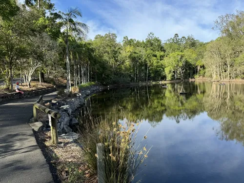 10 Best Hikes and Trails in Mount Coot-tha Reserve | AllTrails