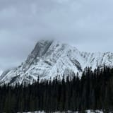 Karst Spring Trail, Alberta, Canada - 895 Reviews, Map | AllTrails
