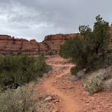 Mescal Mountain Trail, Arizona - 624 Reviews, Map | AllTrails