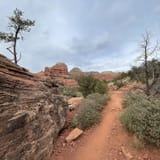 Mescal Mountain Trail, Arizona - 688 Reviews, Map | AllTrails