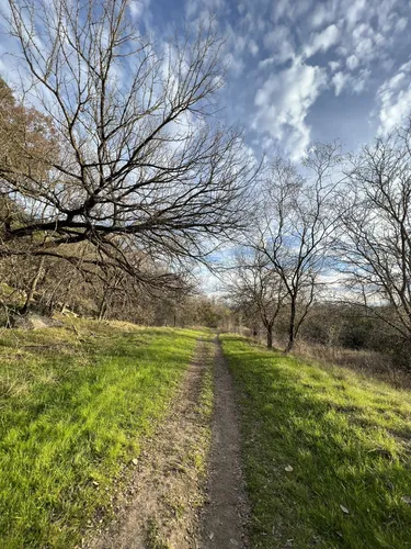 Best Hikes and Trails in Miller Spring Park | AllTrails