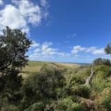 Bushranger Bay Walk, Victoria, Australia - 270 Reviews, Map | AllTrails