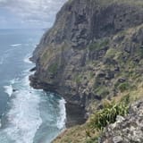 Mercer Bay Loop Track, Auckland, New Zealand - 504 Reviews, Map | AllTrails