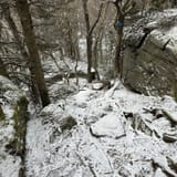 Slide Mountain Trail, New York - 1,537 Reviews, Map | AllTrails