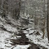 Slide Mountain Trail, New York - 1,537 Reviews, Map | AllTrails