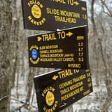 Slide Mountain Trail, New York - 1,537 Reviews, Map | AllTrails