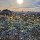 Two Trees Trail, California - 1,217 Reviews, Map | AllTrails