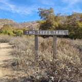 Two Trees Trail, California - 1,217 Reviews, Map | AllTrails