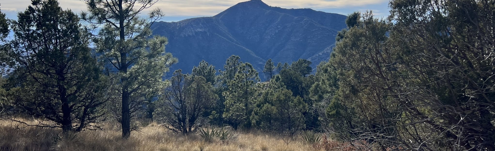 The Bowl and Hunter Peak via Frijole and Bear Canyon Trails, Texas - 81 ...