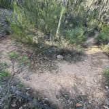 Alligator Gorge Narrows Hike, South Australia, Australia - 187 Reviews ...