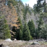 Heart Rock Trail, California - 3,025 Reviews, Map | AllTrails