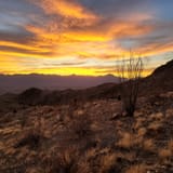 Lost Ranch Ruins Trail to Lost Ranch Mines Trail Loop, Arizona - 1,091 ...