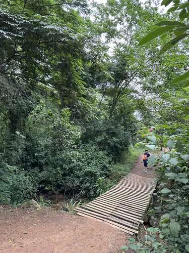 10 Best Trails and Hikes in Hillcrest | AllTrails