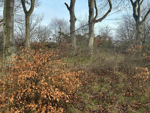 Best Hikes and Trails in Tullos Hill | AllTrails