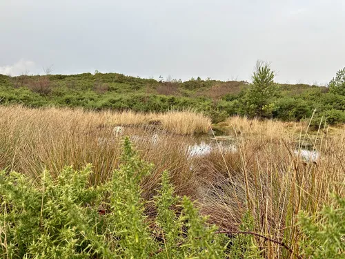 10 Best Trails, Walks, and Paths in Aberdeen | AllTrails