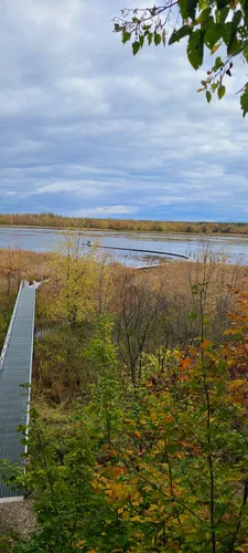 Best Forest Trails in Pointe-Calumet | AllTrails