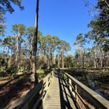 Sea Pines Forest Preserve, South Carolina - 778 Reviews, Map | AllTrails
