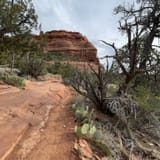 Mescal Mountain Trail, Arizona - 688 Reviews, Map | AllTrails