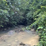 Lata Gapi Waterfall, Selangor, Malaysia - 258 Reviews, Map | AllTrails