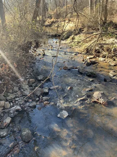 Best Hikes and Trails in Holmes Run Stream Valley park | AllTrails