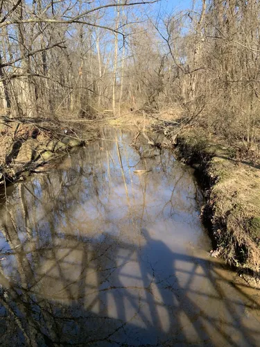 Best Hikes and Trails in Holmes Run Stream Valley park | AllTrails