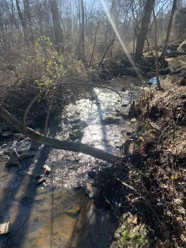 Best Hikes and Trails in Holmes Run Stream Valley park | AllTrails