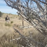 Skyline Drive Trail, Texas - 551 Reviews, Map | AllTrails