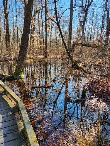 Best Hikes and Trails in Great Swamp National Wildlife Refuge | AllTrails