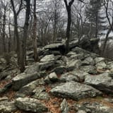 Wolf Rocks via Appalachian Trail, Pennsylvania - 840 Reviews, Map ...