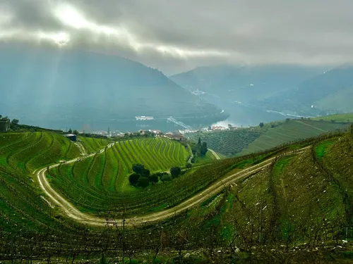 Best Hikes and Trails in Pinhão | AllTrails