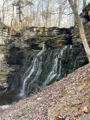 Best Hikes and Trails in Short Springs State Natural Area | AllTrails