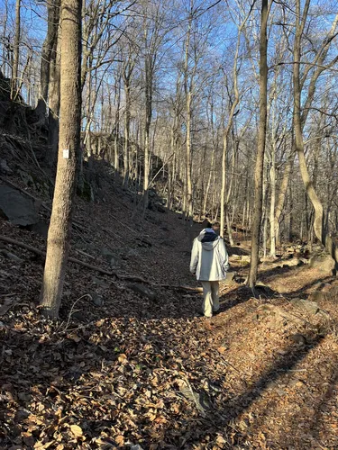 Best Hikes and Trails in Blauvelt State Park | AllTrails