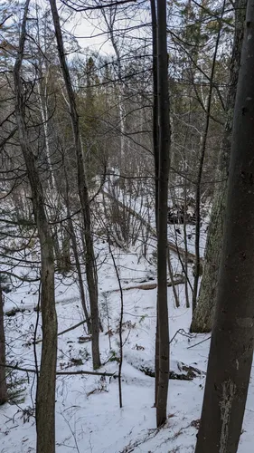 Best Hikes and Trails in Chocolay Bayou Nature Preserve | AllTrails