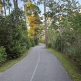 Catman Trail, Alabama - 297 Reviews, Map | AllTrails