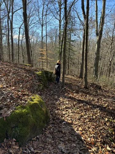 Best Hikes and Trails in Ferdinand State Forest | AllTrails