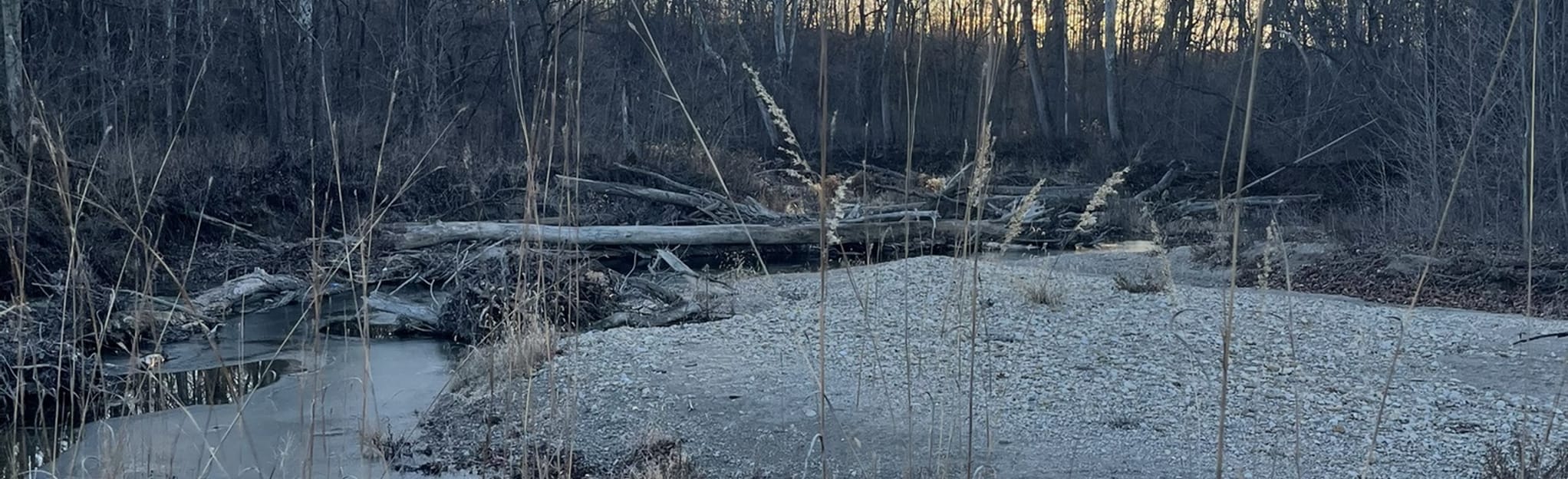 Historical Society Yellow Trail, Ohio - 25 Reviews, Map | AllTrails