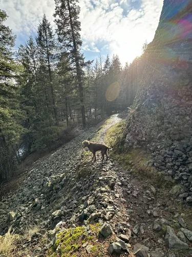 Best Horseback Riding Trails in Riverside State Park | AllTrails