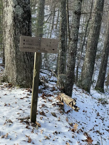 Best Lake Trails in Damascus | AllTrails