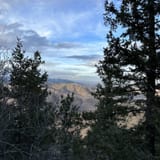 Colorow Mountain Forest and Meadow Loop Trail, Colorado - 577 Reviews ...