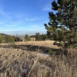 Colorow Mountain Forest and Meadow Loop Trail, Colorado - 592 Reviews ...
