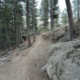 Colorow Mountain Forest and Meadow Loop Trail, Colorado - 577 Reviews ...