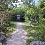 Wild Tamarind Trail, Florida - 230 Reviews, Map | AllTrails