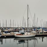 Larry Scott Trail, Washington - 377 Reviews, Map | AllTrails