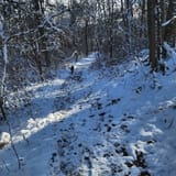 Salt Run, Ohio - 1,174 Reviews, Map | AllTrails