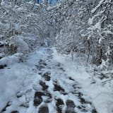 Salt Run, Ohio - 1,174 Reviews, Map | AllTrails