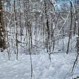 Salt Run, Ohio - 1,174 Reviews, Map | AllTrails