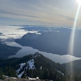 Mount Ellinor Trail, Washington - 2,603 Reviews, Map | AllTrails
