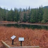 Greider Lakes Trail, Washington - 588 Reviews, Map | AllTrails