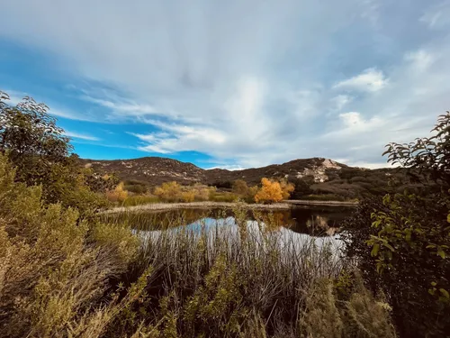 10 Best Hikes and Trails in Daley Ranch | AllTrails