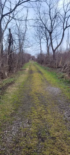 Best Hikes and Trails in Osborn MetroPark | AllTrails